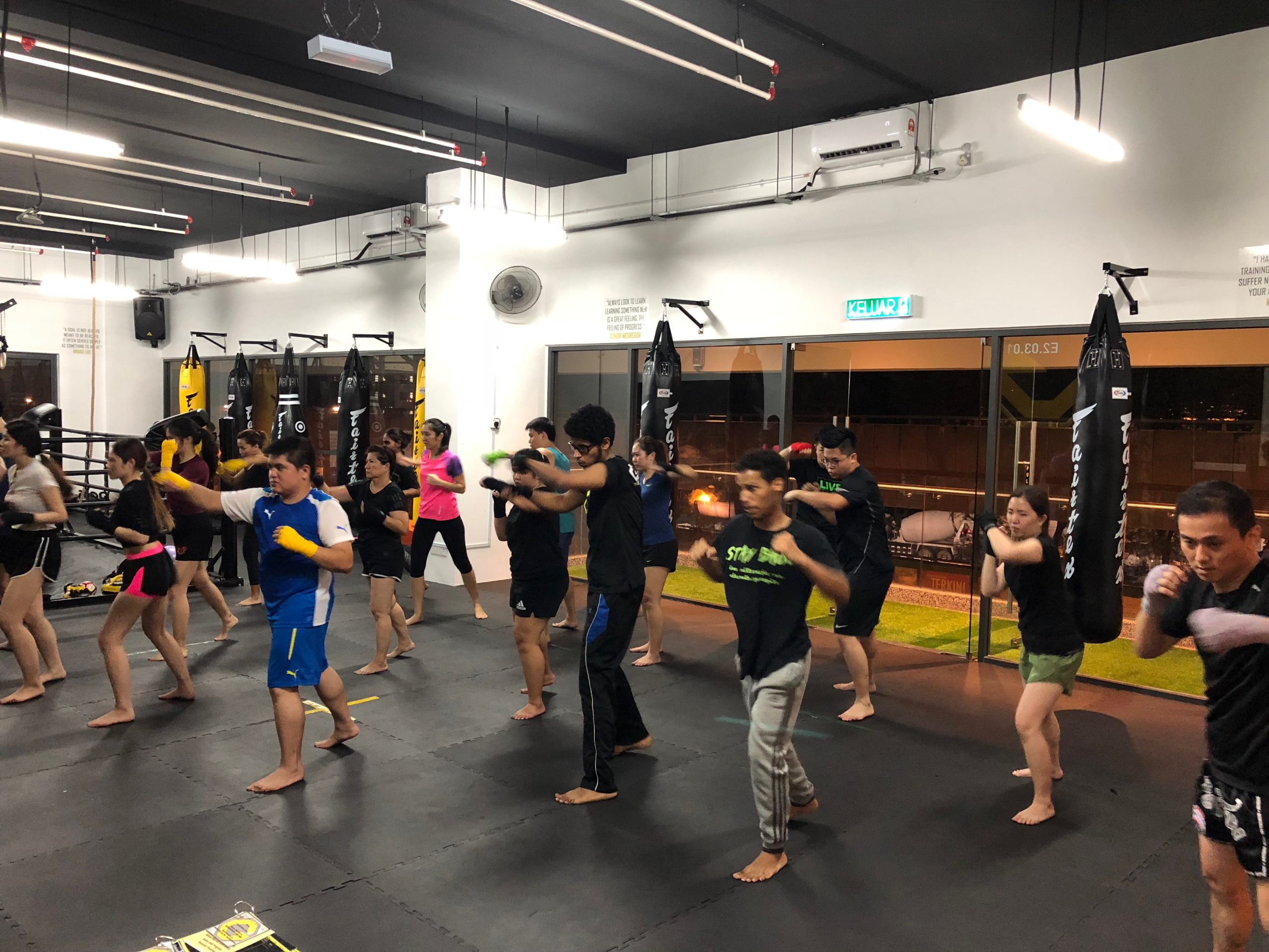 Gainz MMA | Business Listing | Venture Grab